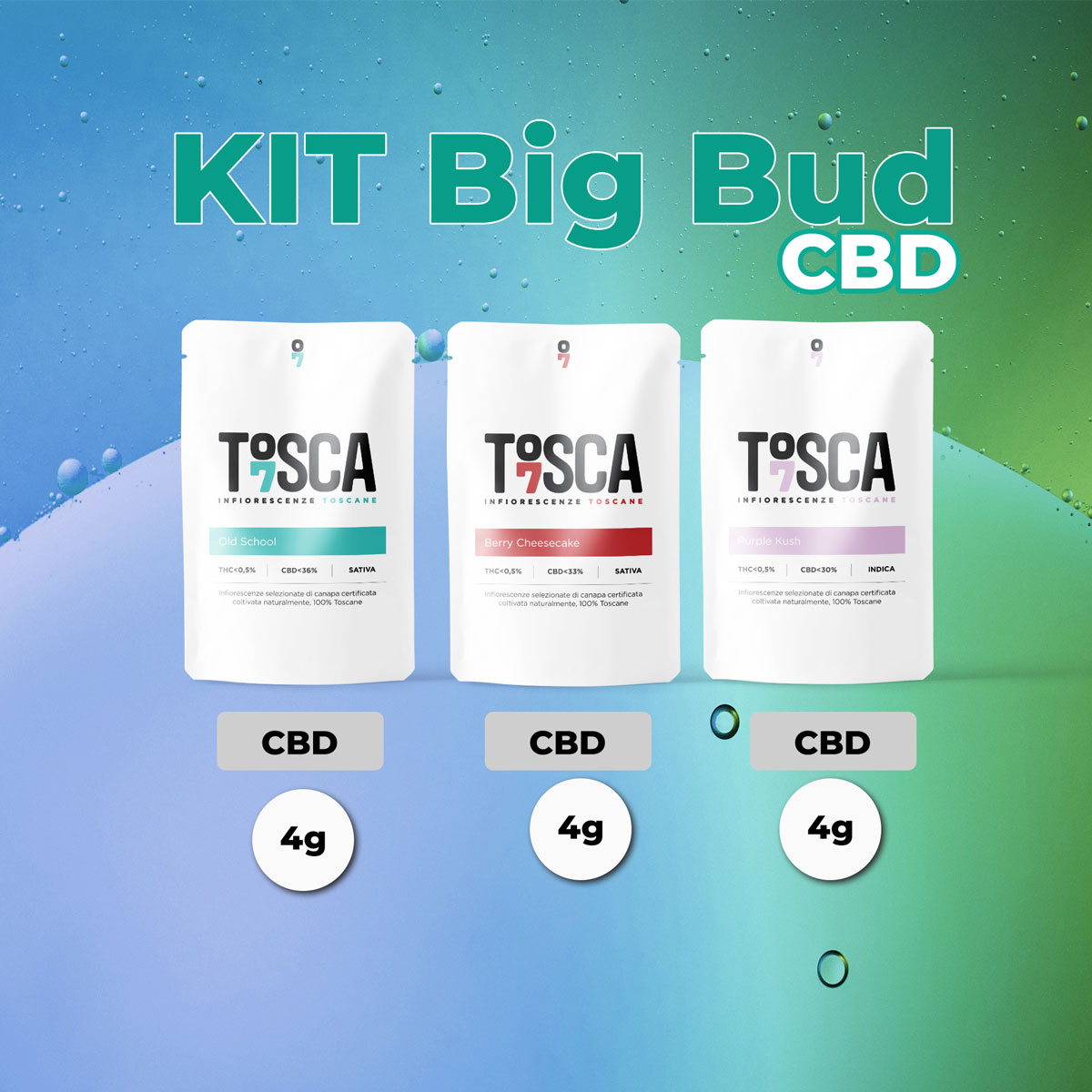 Kit Big Bud CBD - Tosca7